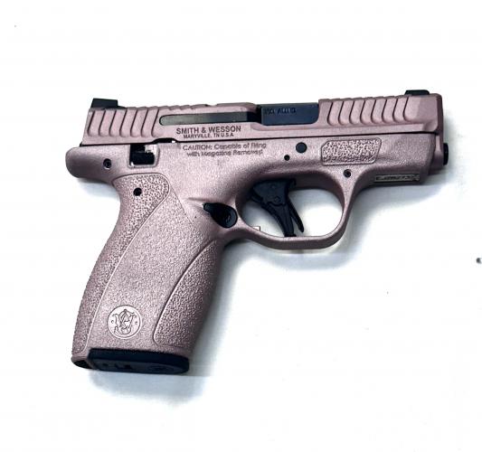 BODYGUARD 380 For Sale - In Stock